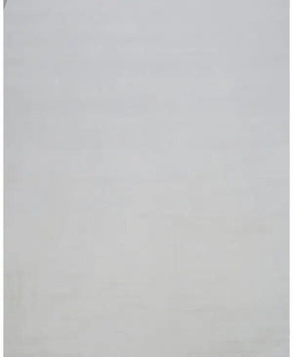 EXQUISITE RUGS Velutto Modern 6537 Area Rug, 2' X 3