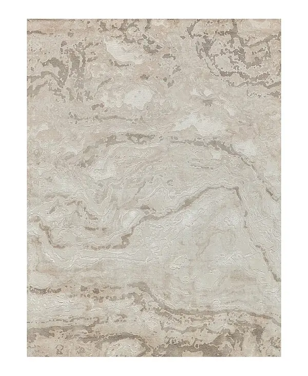 EXQUISITE RUGS Saccara 6807 Area Rug, 8' X 10 - Beige