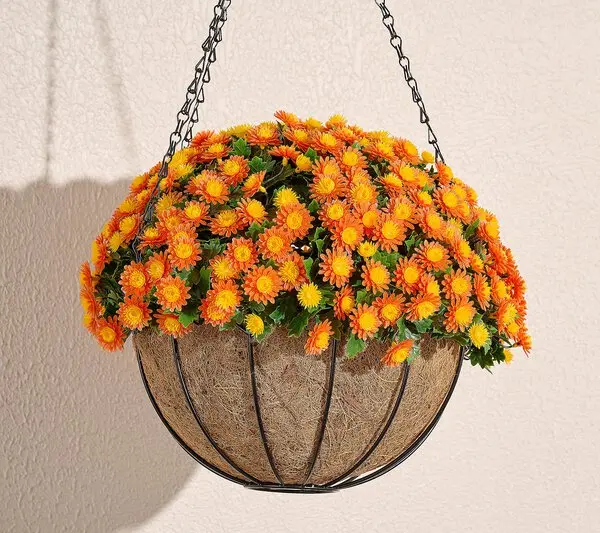 WICKER PARK As Is Harvest Faux Mum Hanging Basket - One-color