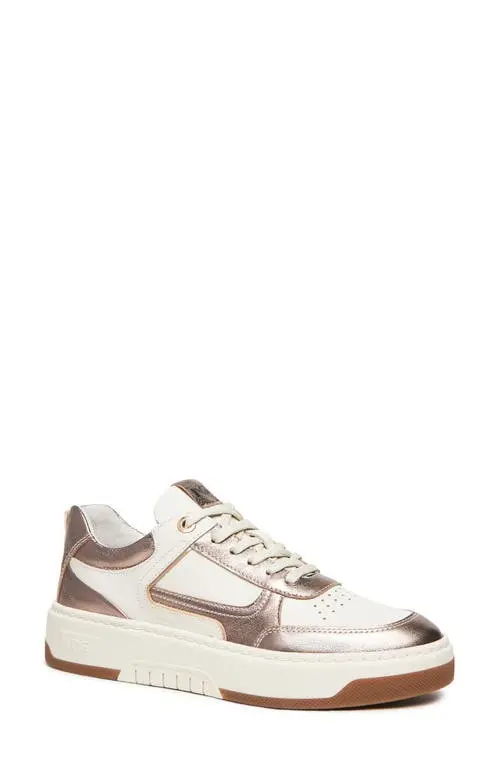 NEROGIARDINI Lace-up Sneaker - Ivory/ Gold Multi