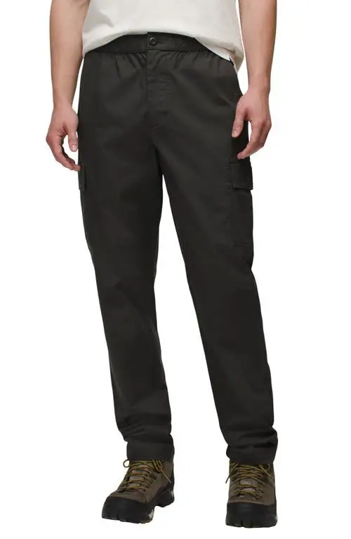 Prana Palisades Organic Cotton Blend Cargo Pants - Dark Iron