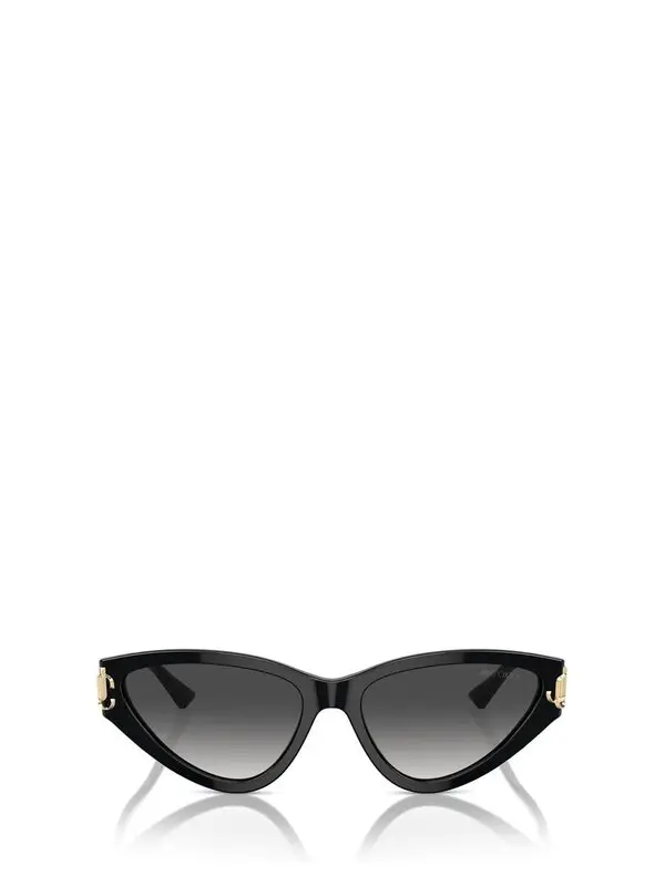 JIMMY CHOO Cat-eye Sunglasses - Black