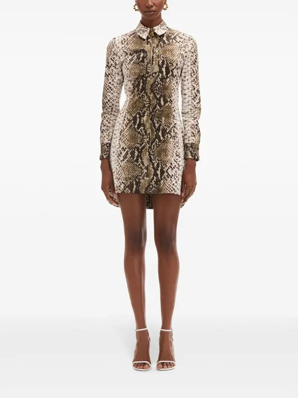 Oscar De La Renta Snake Cotton Poplin Shirt Dress