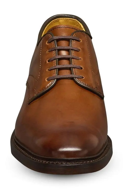 Allen Edmonds Maxwell Reserve Leather Derby - Chili