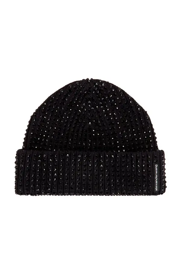 Alexander Wang Hotfix Rib Beanie In Black - 55% Off  display picture 1