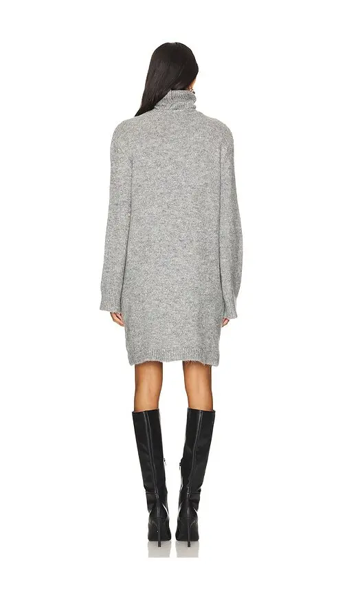 Steve Madden Abbie Sweater Dress