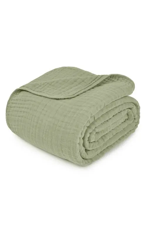 COMFY CUBS Adult Muslin Blanket - Sage