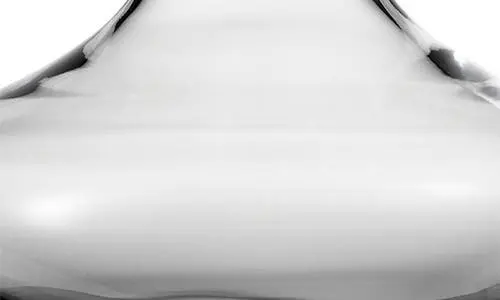 FORTESSA Schott Zwiesel Invento Wine Decanter & Glass Set
