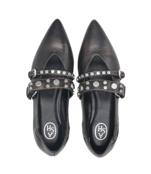 Ash Pointed Toe Leather Flat