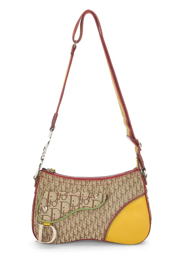 Dior Trotter Canvas Rasta Double Saddle Bag
