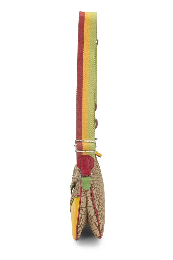 Dior Trotter Canvas Rasta Double Saddle Bag