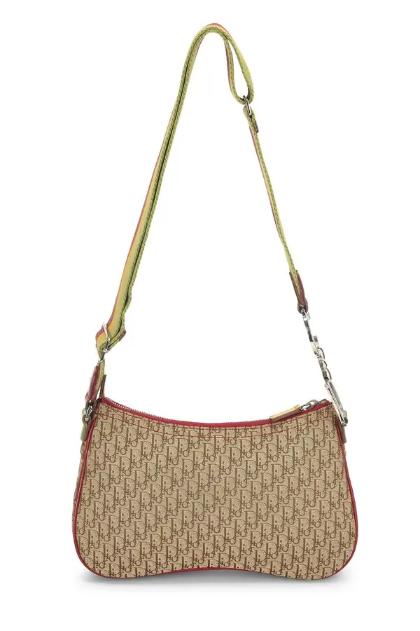 Dior Trotter Canvas Rasta Double Saddle Bag