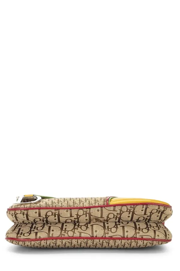 Dior Trotter Canvas Rasta Double Saddle Bag
