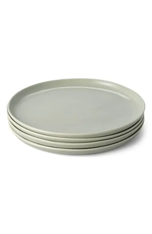 FABLE The Dinner Set Of 4 Plates - Beachgrass Green