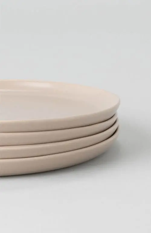 FABLE The Dinner Set Of 4 Plates - Desert Taupe