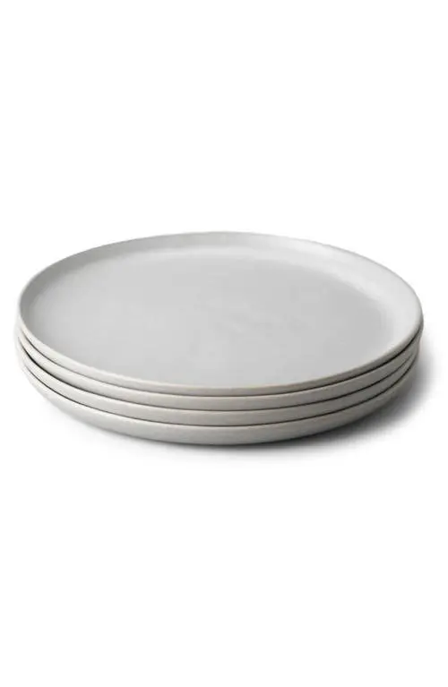 FABLE The Set Of 4 Salad Plates - Stone Blue