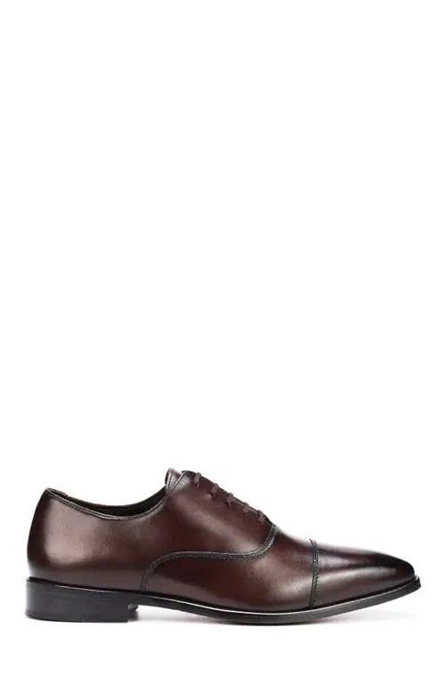 ANTHONY VEER Cap-toe Oxford - Chocolate Brown Burnished