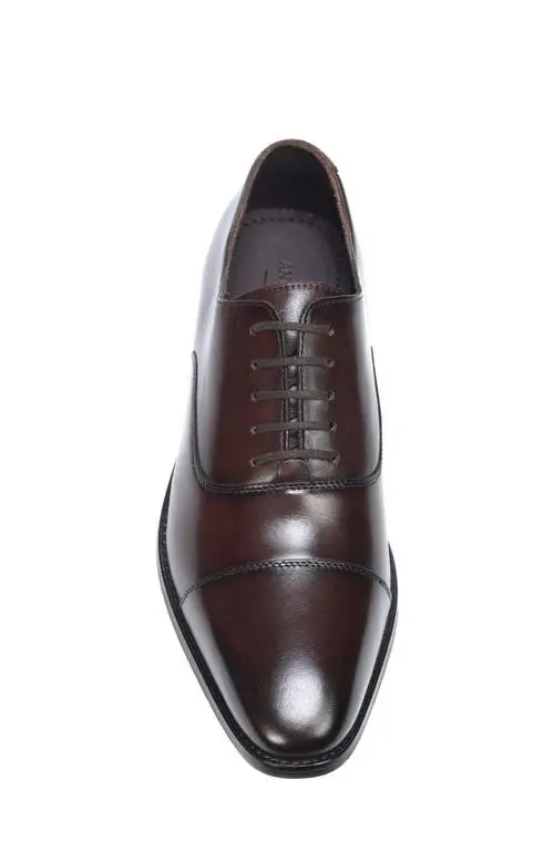 ANTHONY VEER Cap-toe Oxford - Chocolate Brown Burnished