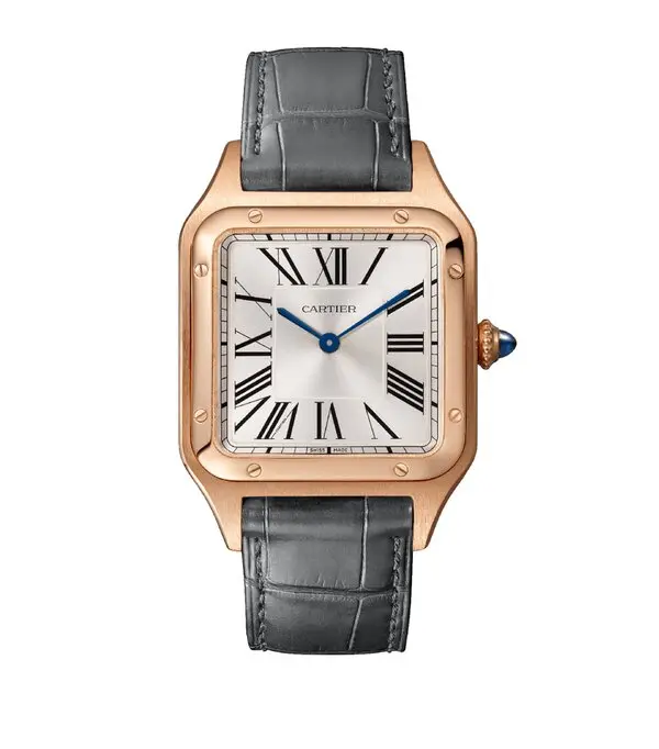 Cartier Santos-dumont Watch - Grey