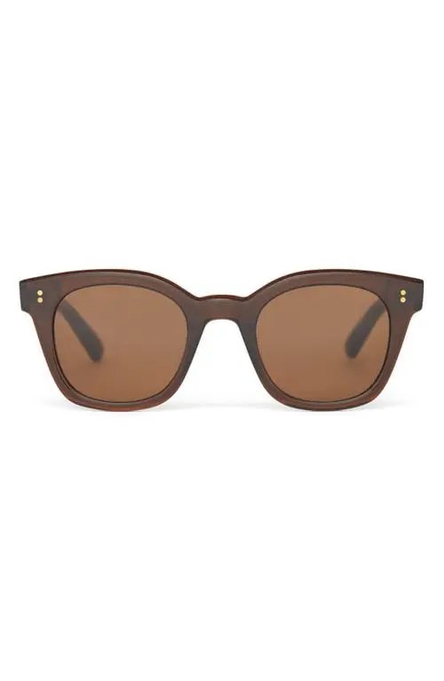 Toms Rome 49mm Square Sunglasses - Cacao Crystal/ Solid Brown