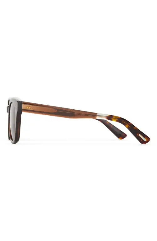 Toms Rome 49mm Square Sunglasses - Cacao Crystal/ Solid Brown