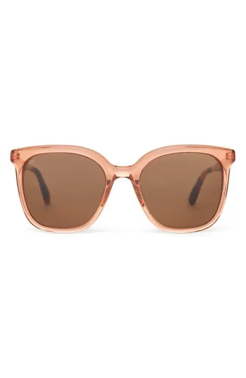 Toms Charmaine 54mm Square Sunglasses - Apricot Crystal/ Solid Brown