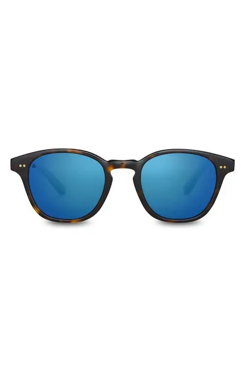 Toms Wyatt 49mm Round Frame Sunglasses - Dark Brown/ Bright Blue