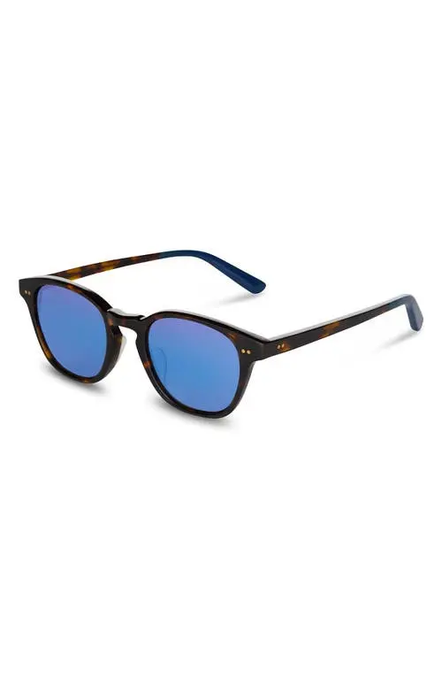 Toms Wyatt 49mm Round Frame Sunglasses - Dark Brown/ Bright Blue