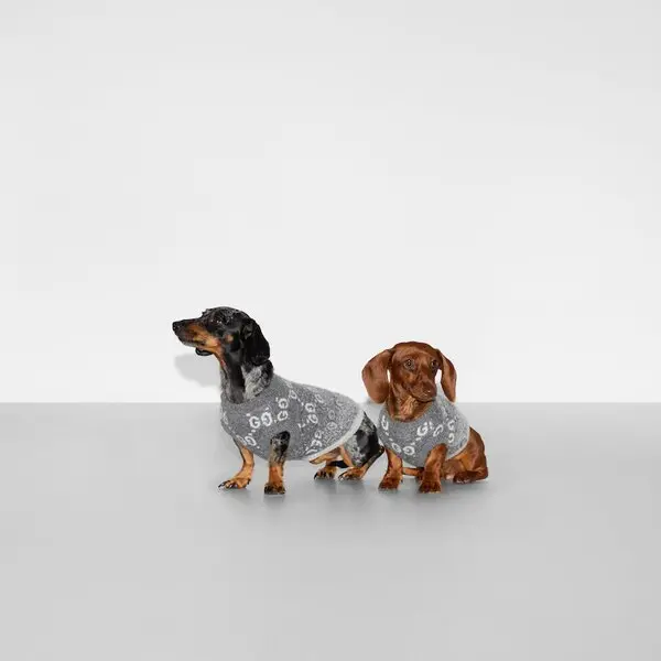 Gucci Gg Wool Jacquard Pet Sweater