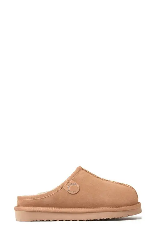 DEARFOAMS Fireside Greta Shearling Clog Slipper - Driftwood