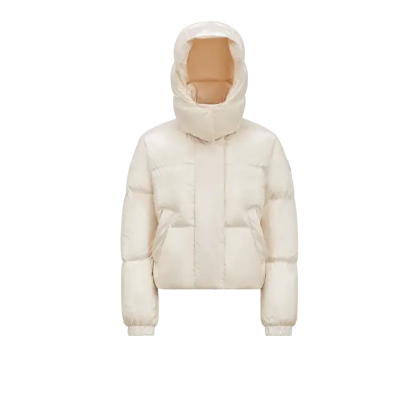 Moncler Briancon Hooded Organza Short Down Jacket