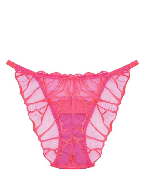FLEUR OF ENGLAND Cleo Briefs