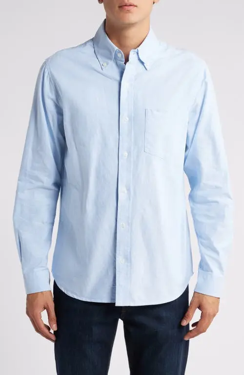 SCHOTT Button-down Oxford Shirt - Blue