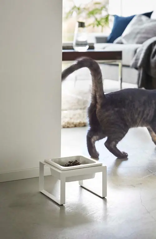 YAMAZAKI Tall Elevated Single Bowl Pet Diner