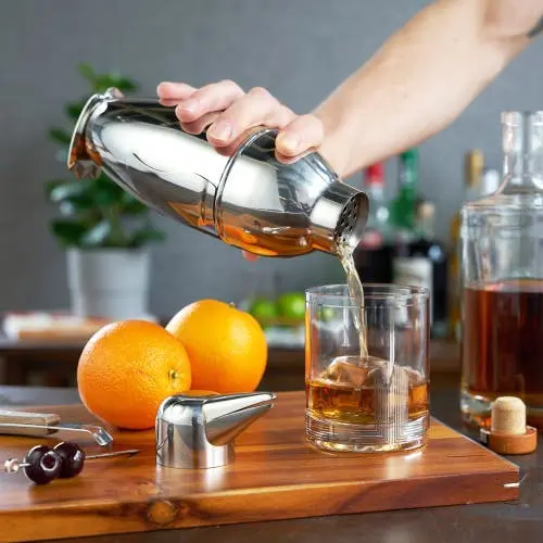VISKI Irving Penguin Cocktail Shaker In Stainless Steel
