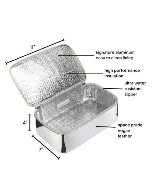 WELLINSULATED Performance Travel Case - Silver