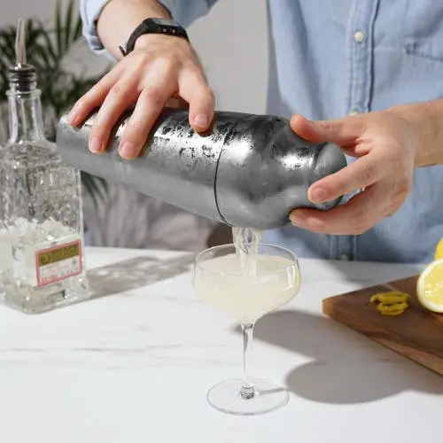VISKI Parisian Cocktail Shaker - Harrison