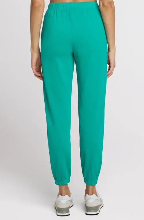 THE STANDARD STITCH Relaxed Fit French Terry Sweatpants - Peacock