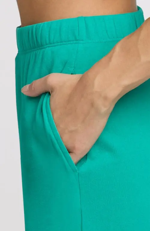 THE STANDARD STITCH Relaxed Fit French Terry Sweatpants - Peacock