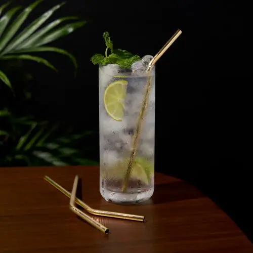 VISKI Cocktail Straws - Belmont