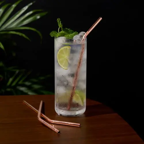 VISKI Cocktail Straws