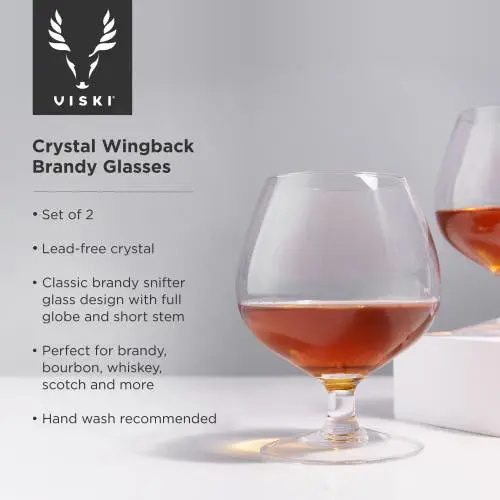 VISKI Raye Crystal Wingback Brandy Glasses Set Of 2
