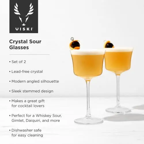 VISKI Raye Crystal Sour Glasses Set Of 2