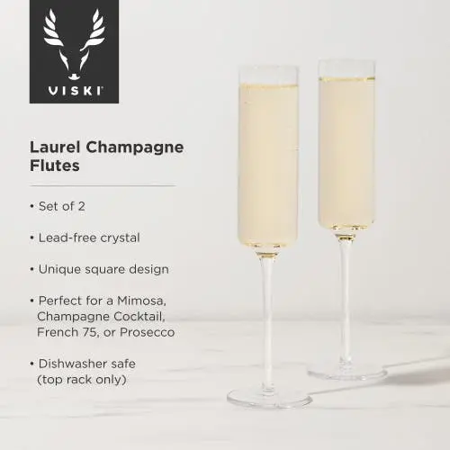 VISKI Laurel Crystal Champagne Flutes Set Of 2