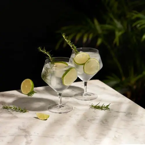 VISKI Raye Crystal Angled Gin & Tonic Glasses Set Of 2