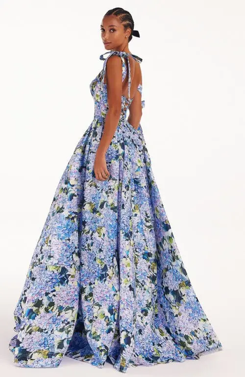 MILLA A-line Corset Floral Taffeta Maxi Gown