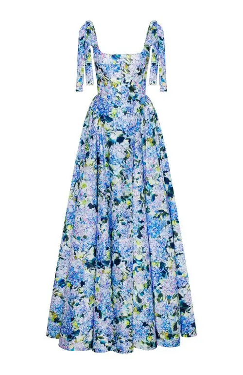 MILLA A-line Corset Floral Taffeta Maxi Gown