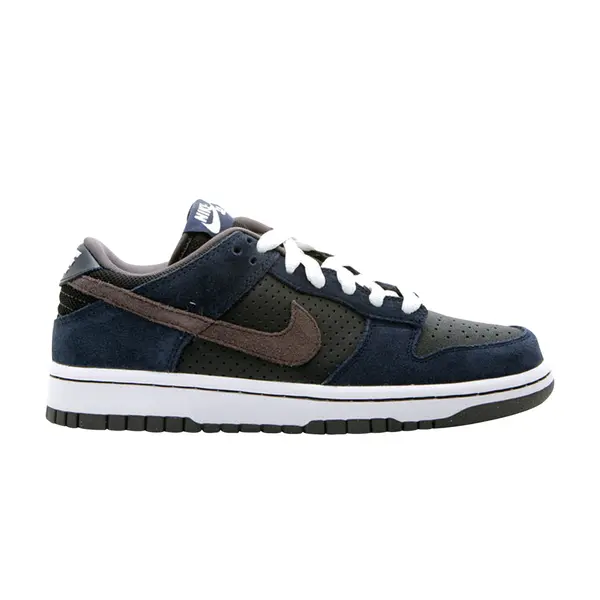 Nike Dunk Low Pro Sb Sneakers