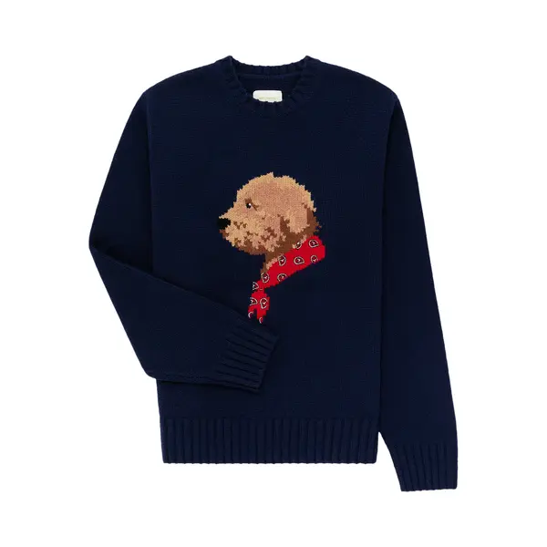 Aimé Leon Dore Collegiate Buddy Knit Sweater