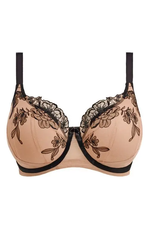 Elomi Teagan Padded Underwire Half Cup Bra - Cafe Au Lait